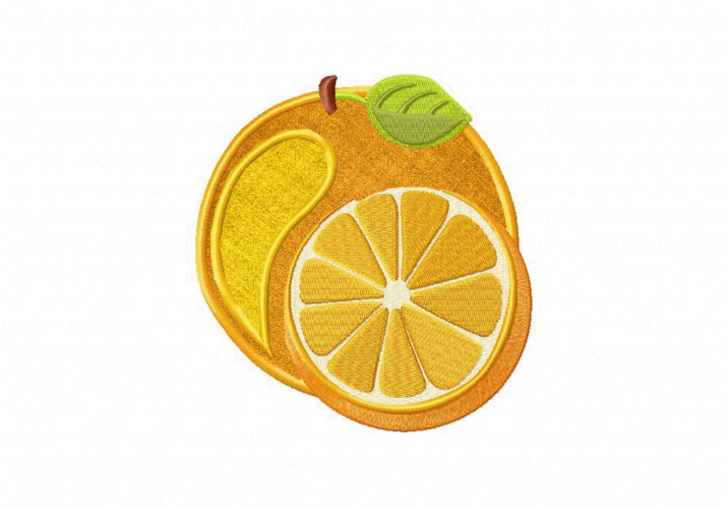 Stylish Orange Includes Both Applique and Stitched – Daily Embroidery