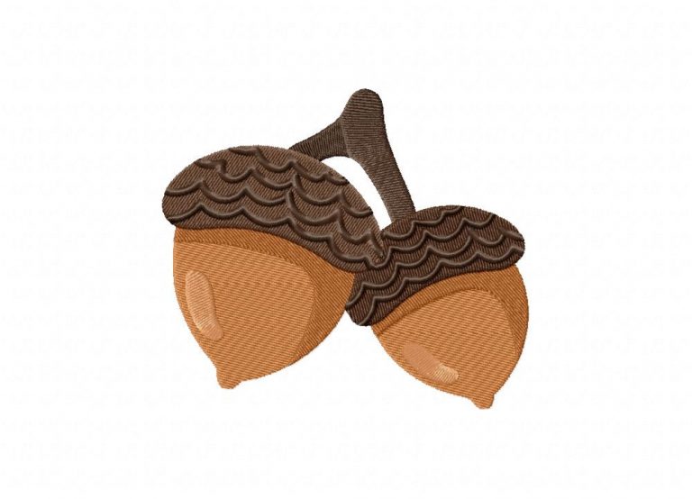 Acorn Embroidery Design – Daily Embroidery