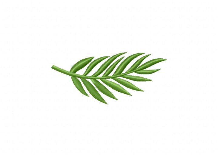 Fern Embroidery Design – Daily Embroidery