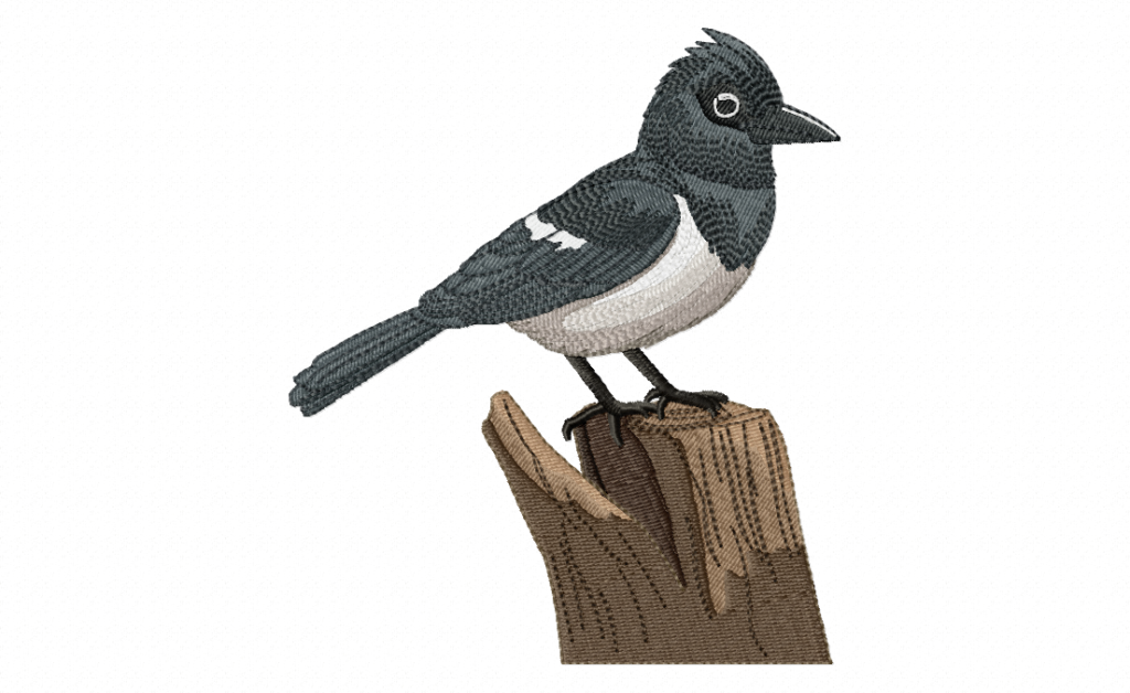 Magpie Cartoon Stitched Embroidery Design – Daily Embroidery
