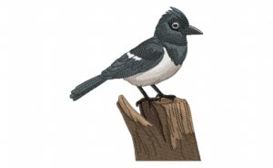 Daily Embroidery – Free Machine Embroidery Designs Daily